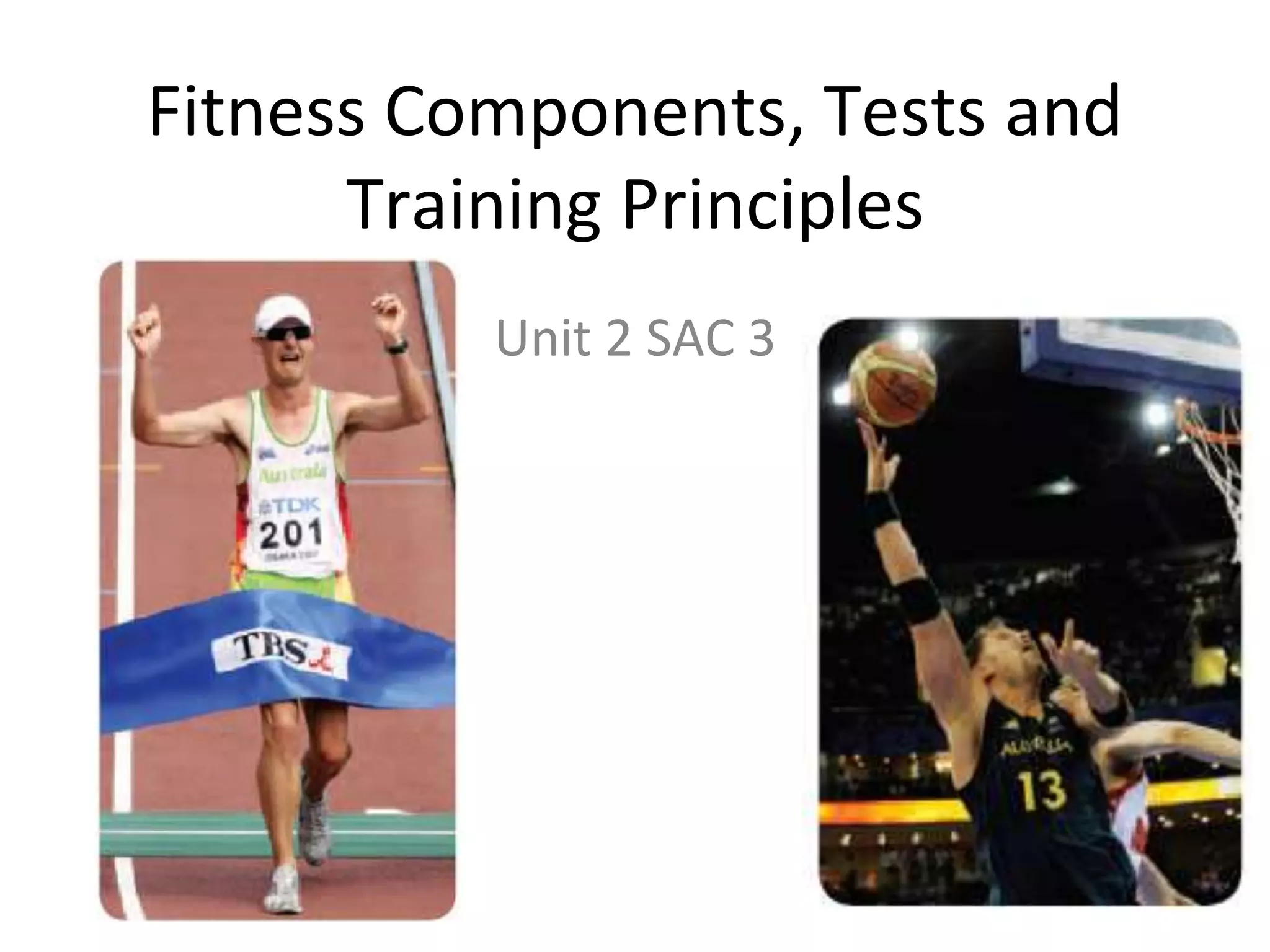 Fitness components tests & training principles | PPT