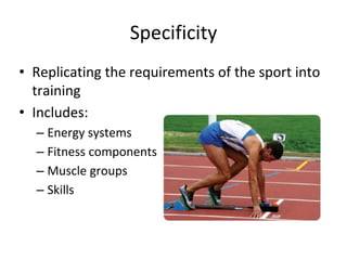 Fitness components tests & training principles | PPTX