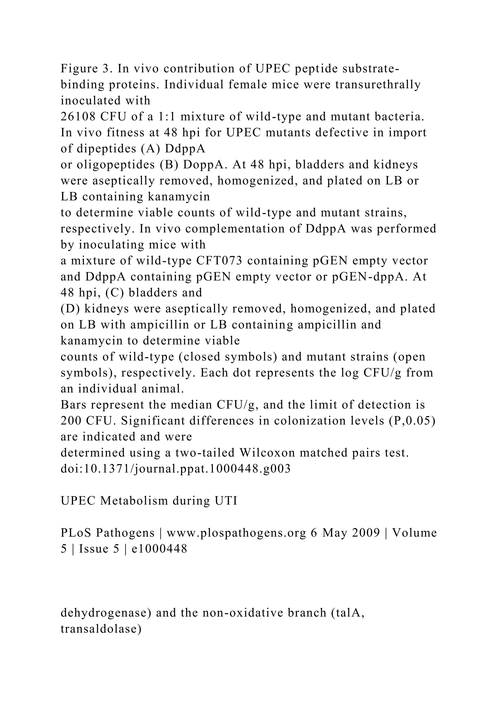 Fitness of Escherichia coli during Urinary Tract InfectionRe.docx ...