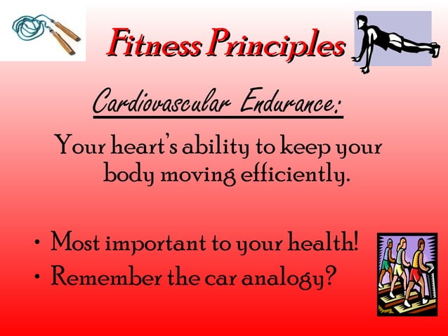 Fitness principles | PPT | Bodybuilding | Sports