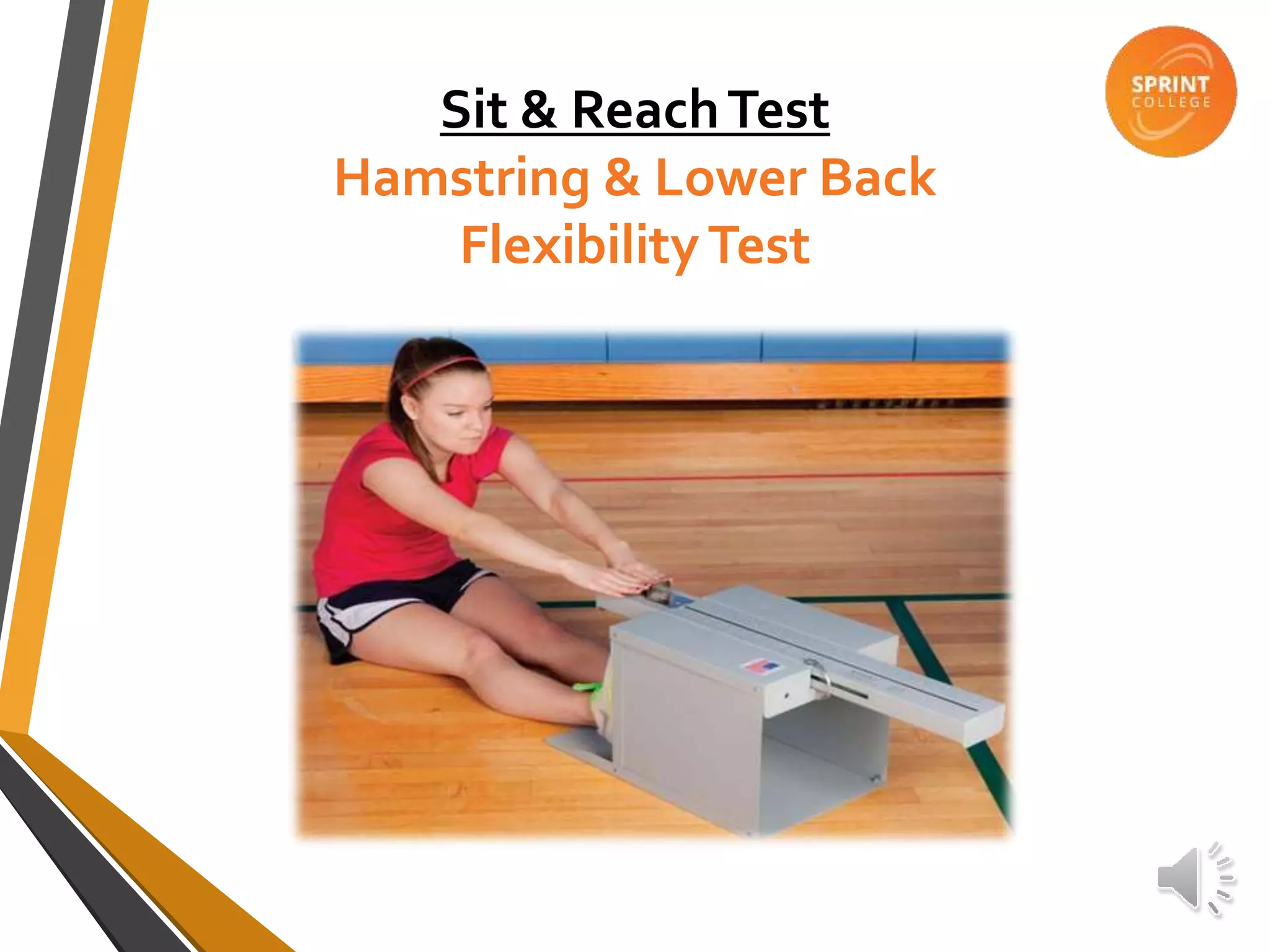 Fitness Testing And Assessment | PPTX