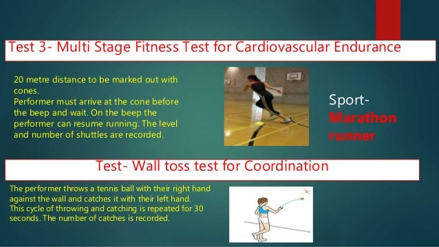 GCSE PE Revision: Fitness testing