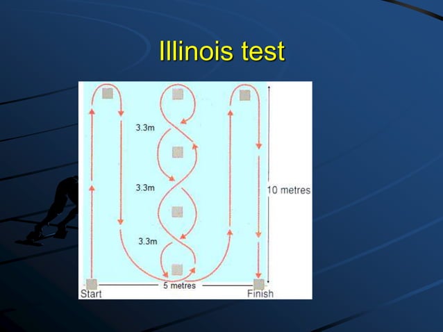 Fitness testing in sports | PPT | Bodybuilding | Sports