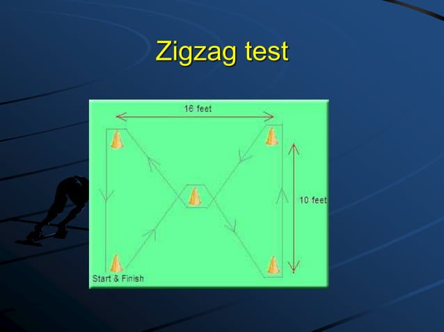 Fitness testing in sports | PPT | Bodybuilding | Sports