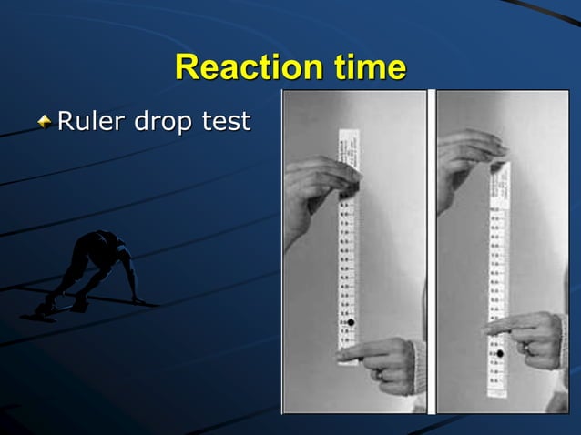 Fitness testing in sports | PPT | Bodybuilding | Sports