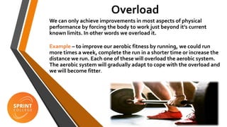 Fitness Training Principles | PPTX