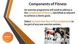 Fitness Training Principles | PPTX