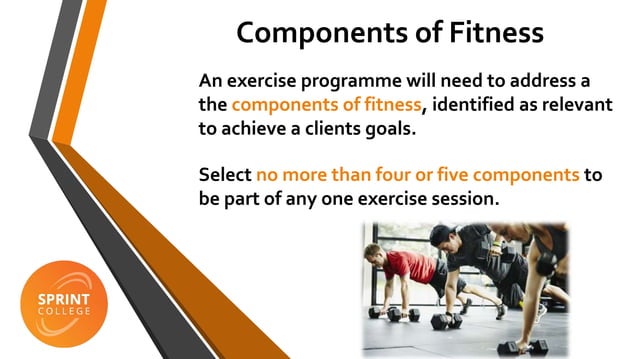 Fitness Training Principles | PPTX