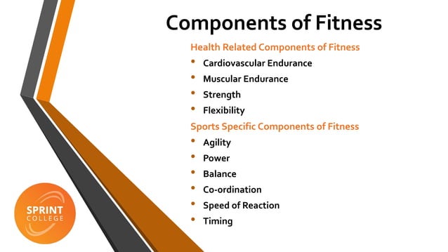 Fitness Training Principles | PPTX