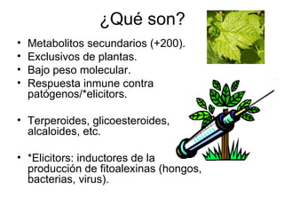 Fitoalexinas. | PPT