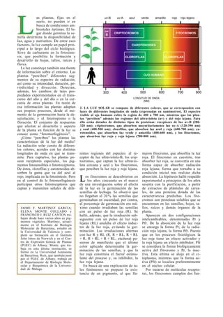 Fitocromos y-desarrollo | PDF