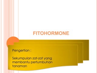 Fitohormon | PPTX