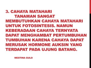 MATERI AJAR FITOHORMON (HORMON TUMBUHAN).pptx