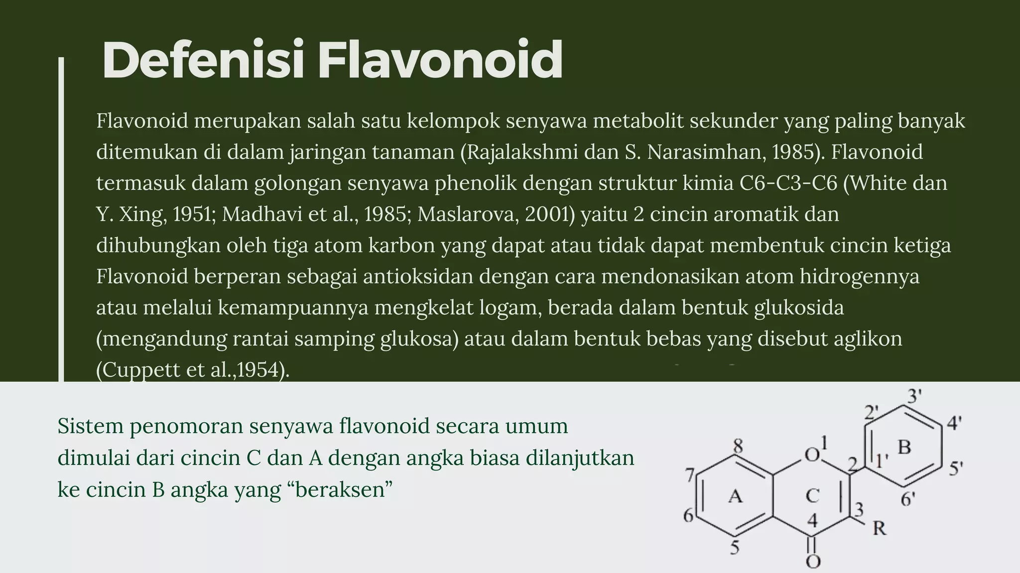 Fitokimia kel 2 (1).pptx