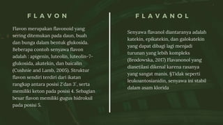 Fitokimia kel 2 (1).pptx