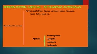 fitomejoramiento CLASE 1-2.pdf