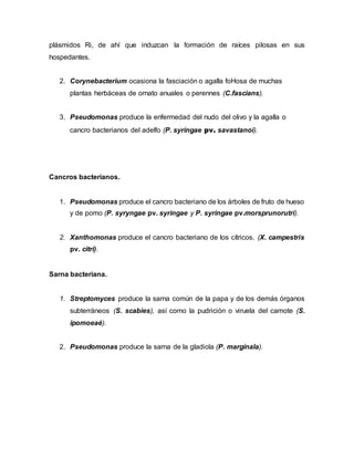 Fitopatologia Unidad II Bacterias | DOCX