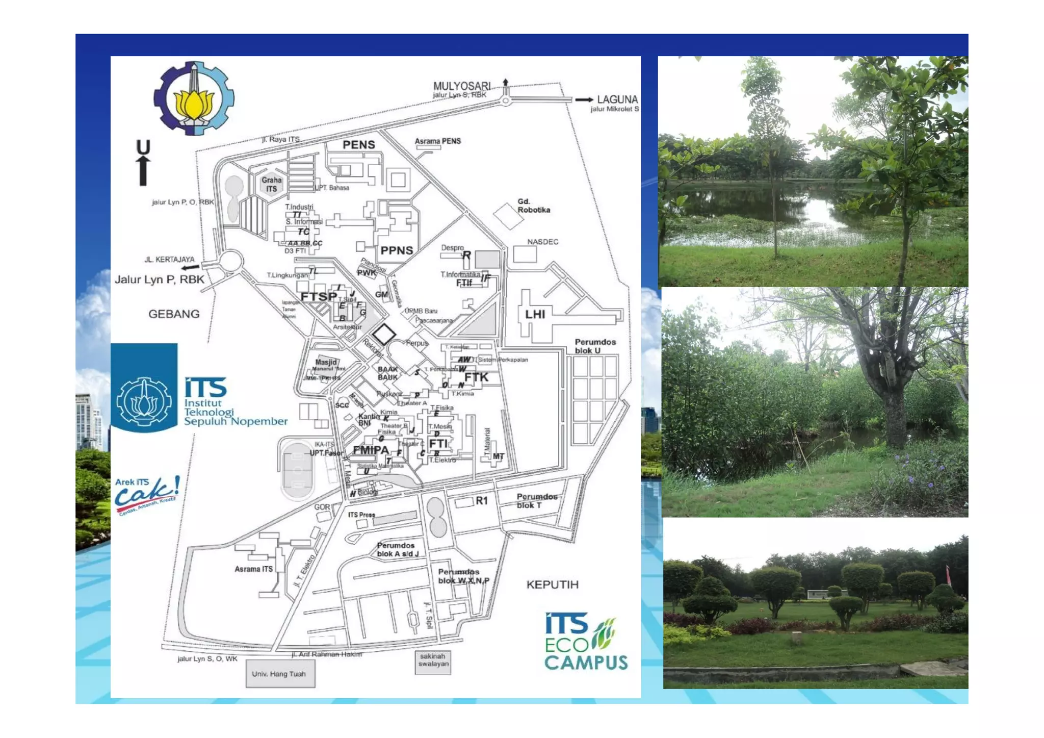 Fitoremediasi Indonesia | PDF