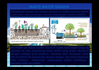 Fitoremediasi Indonesia | PDF