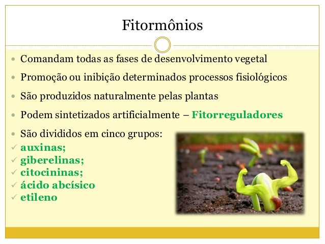 Fitormônios