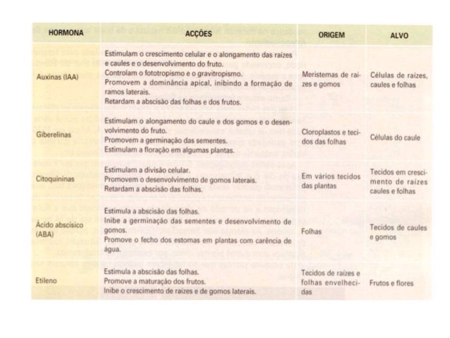 Slides da aula de Biologia (Renato) sobre Fitormônios