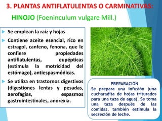fitoterapia digestiva.pdf