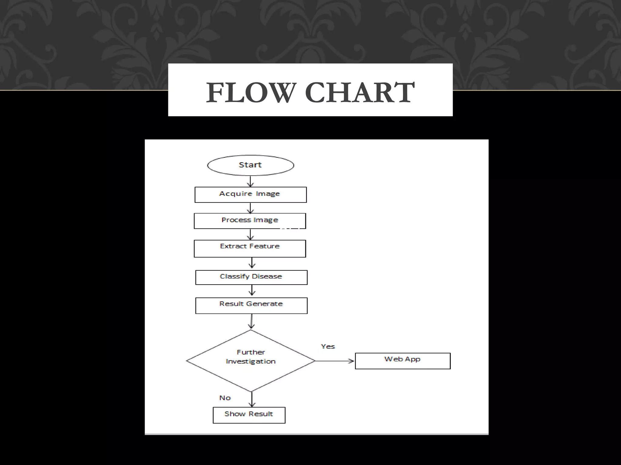 skin disease classification | PPT