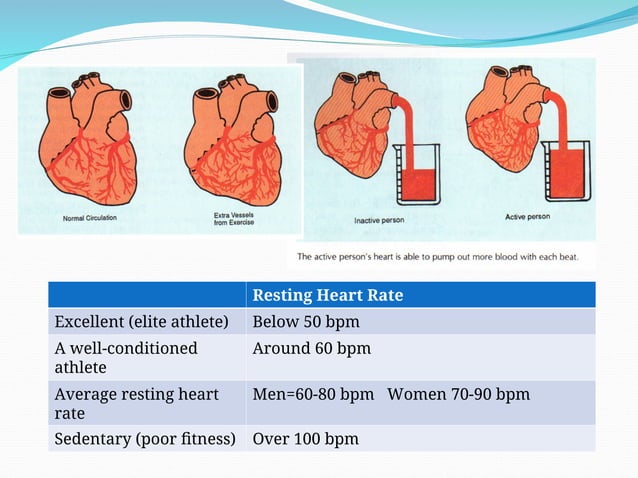 FITT physical fitness test: Frequency, Intensity, Type and Time | PPT