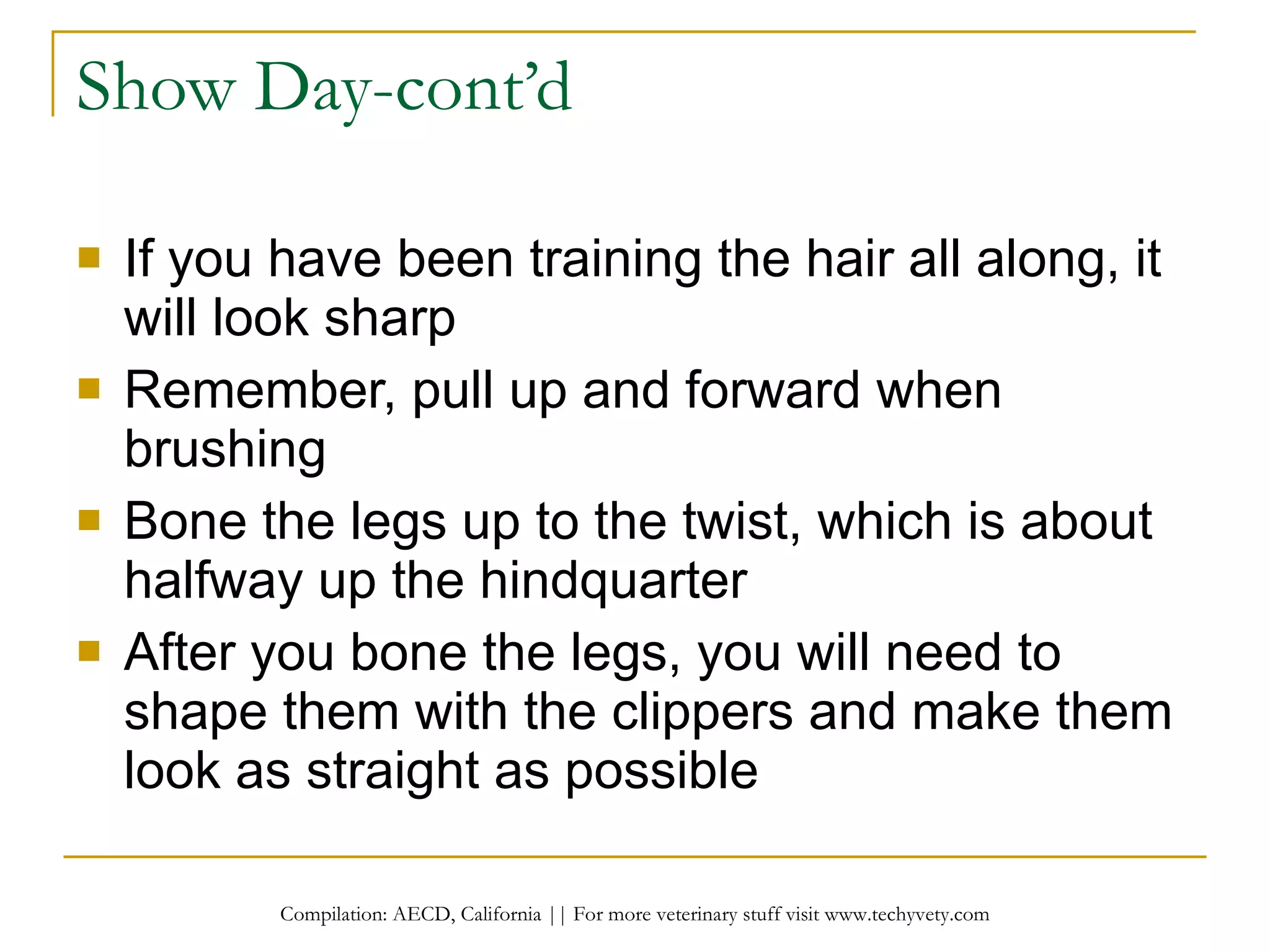 Fitting cattle | PPS