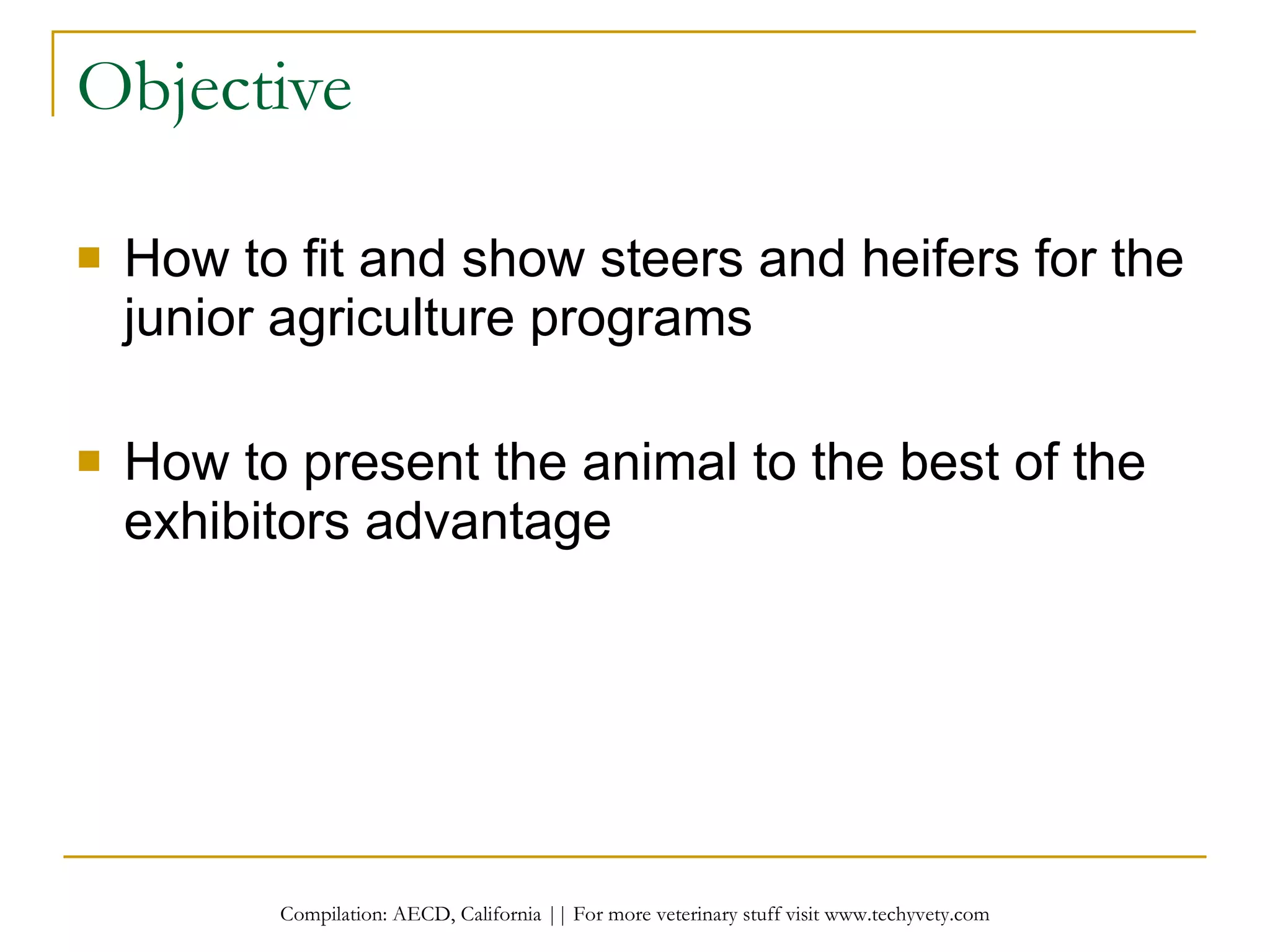 Fitting cattle | PPS