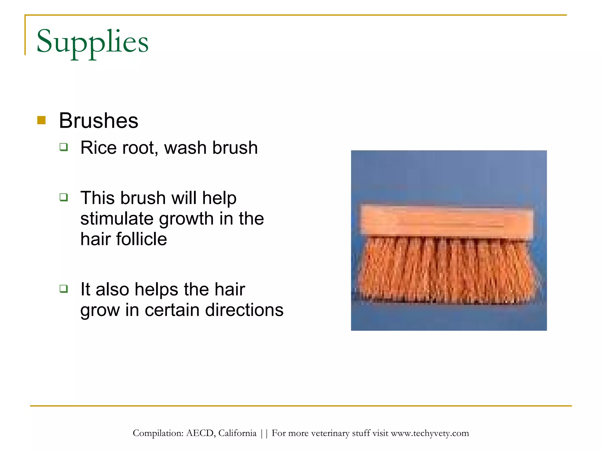 Fitting cattle | PPT