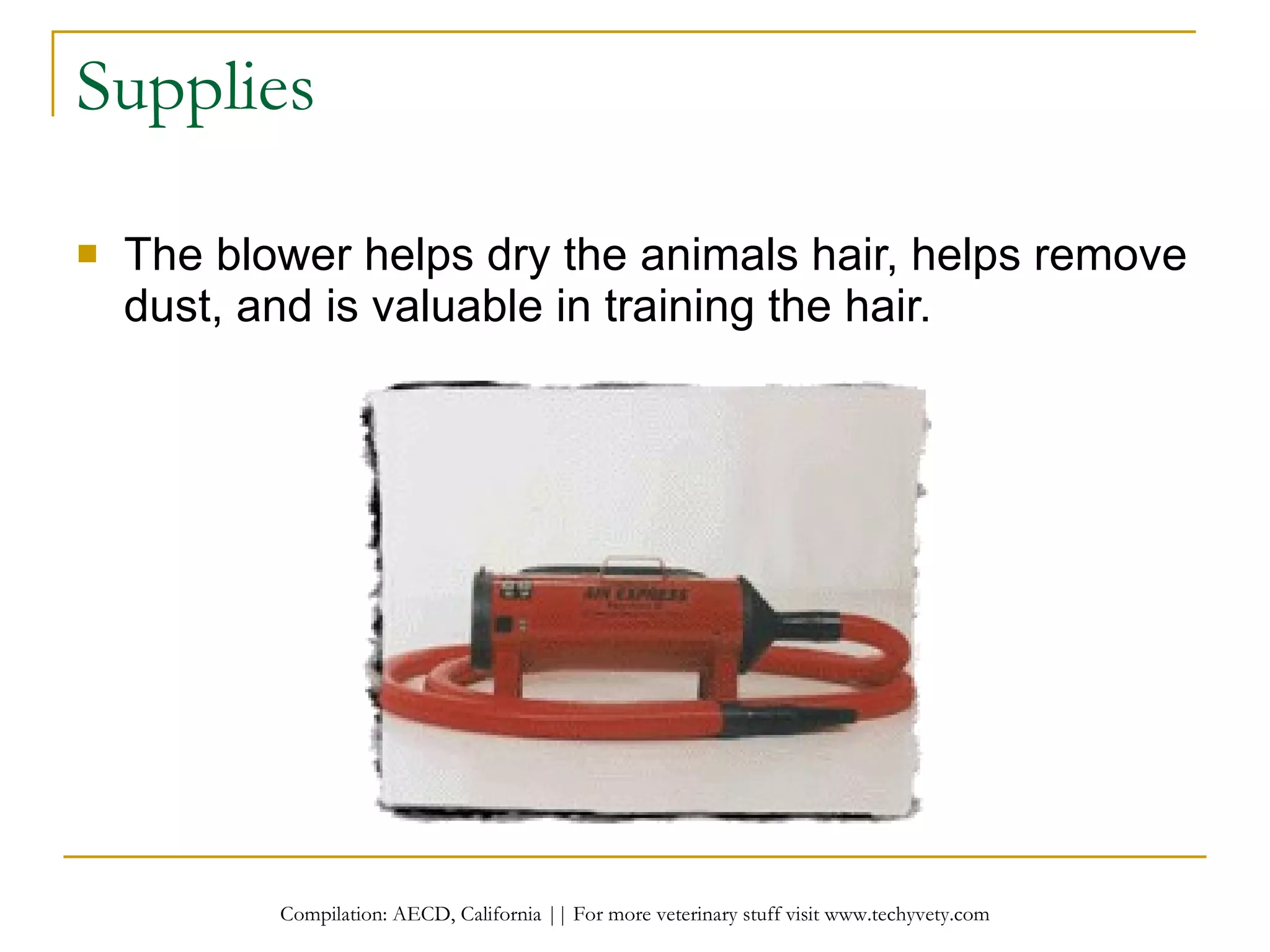 Fitting cattle | PPS