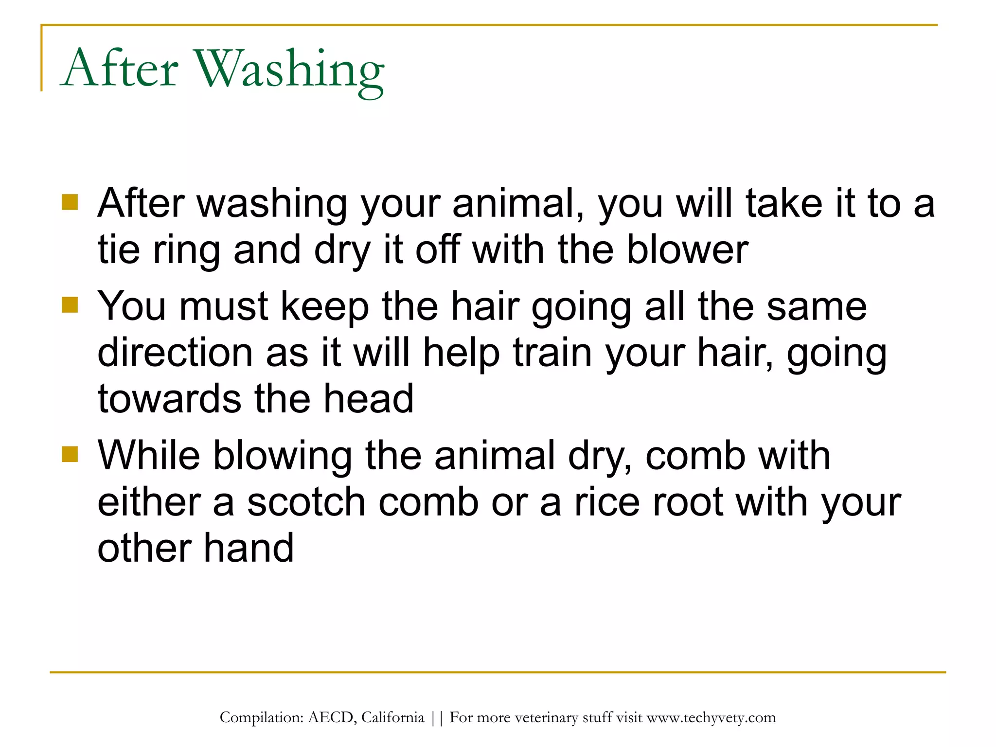 Fitting cattle | PPS