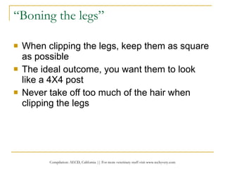 Fitting cattle | PPS