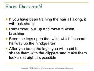 Fitting cattle | PPS