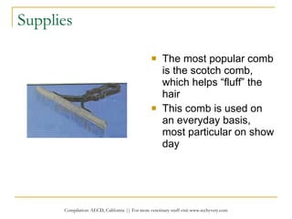 Fitting cattle | PPS