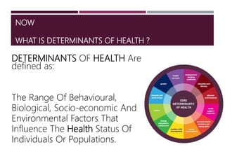 Determinants Of Health, Public Health | PPTX
