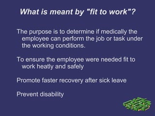 FIT TO WORK presentasi so this is it.pptx