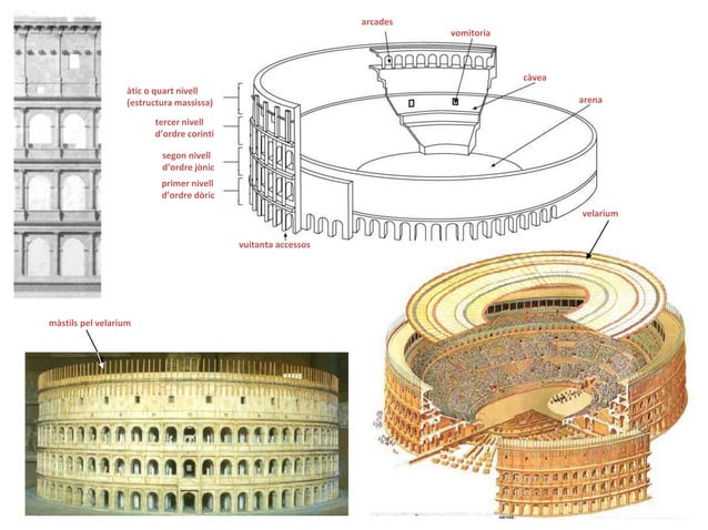 Fitxa 16 colosseu (amfiteatre flavi) | PPT