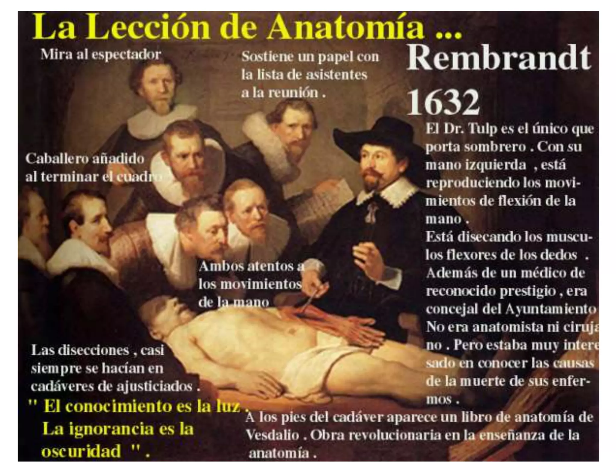 Fitxa 59 la lliçó d'anatomia | PPTX