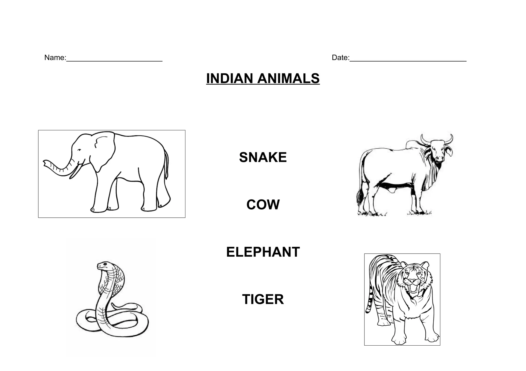 Indian Animals | DOC