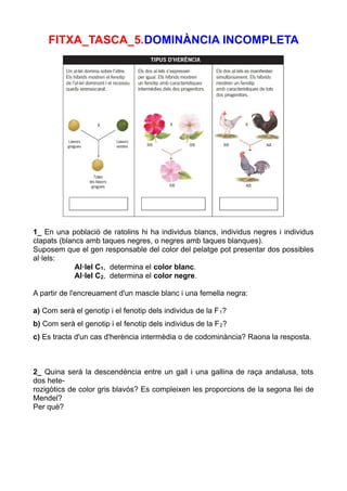 Fitxa tasca 5.dominància incompleta | PDF