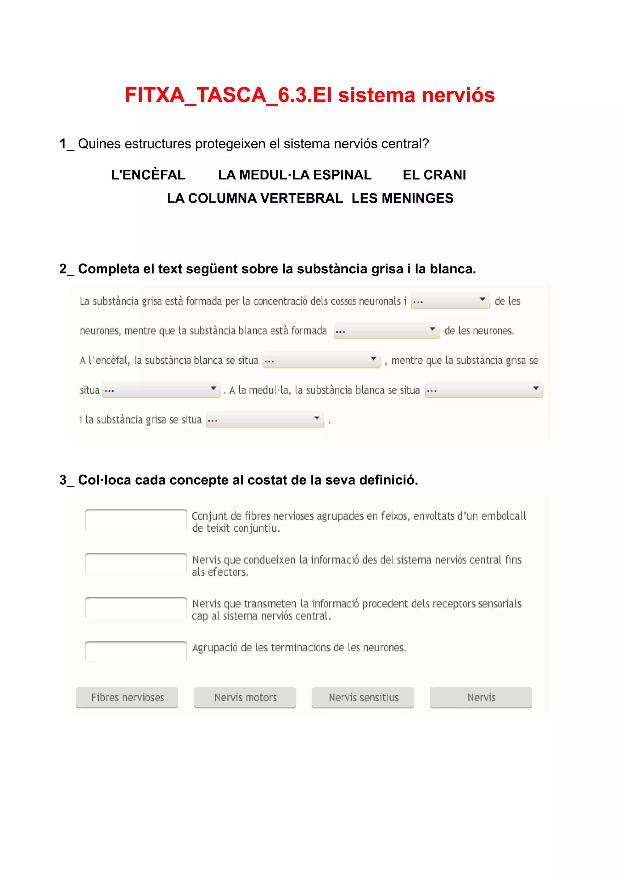 Fitxa tasca 6.3.el sistema nerviós | PDF