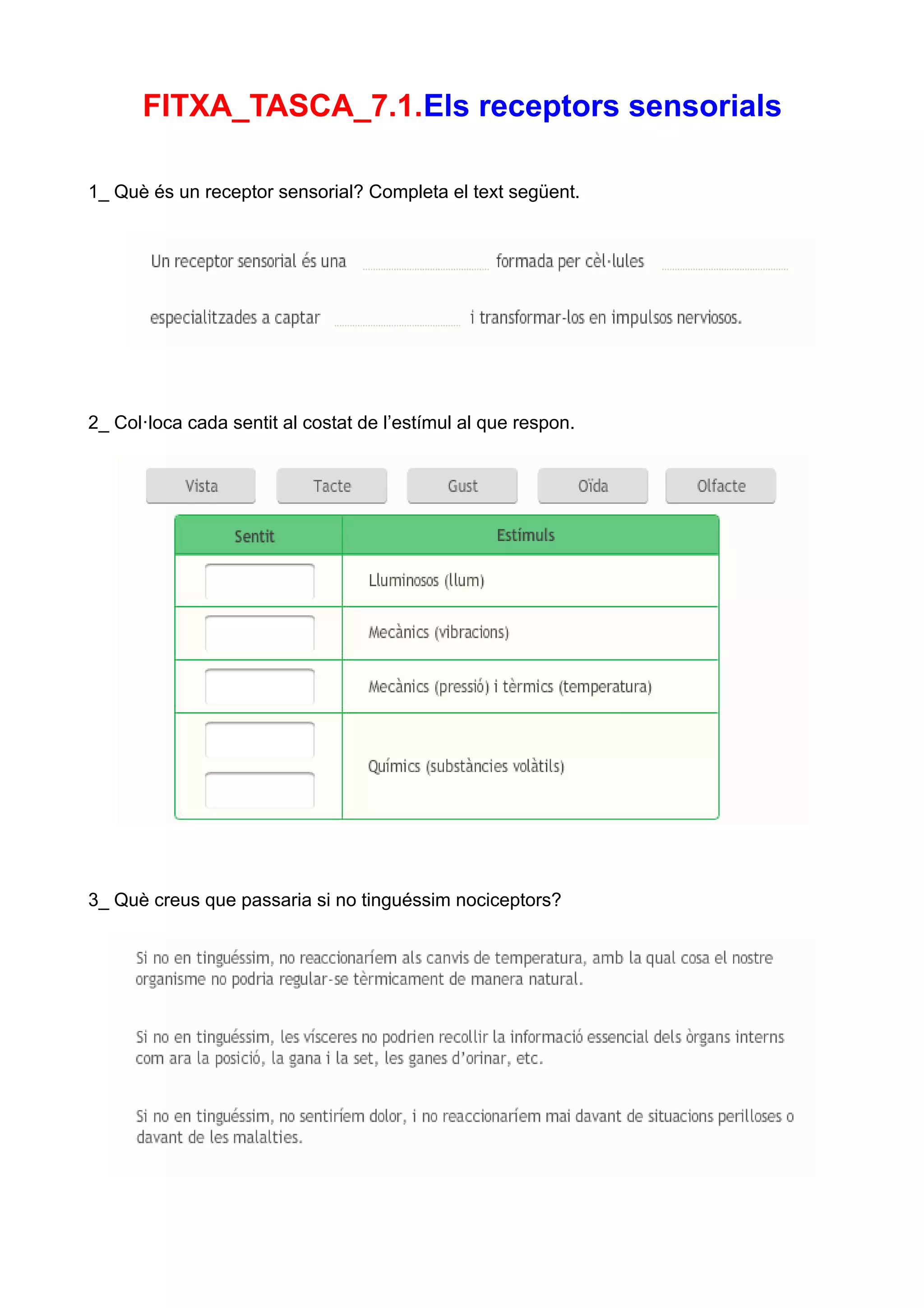 Fitxa tasca 7.1.els receptors sensorials | PDF