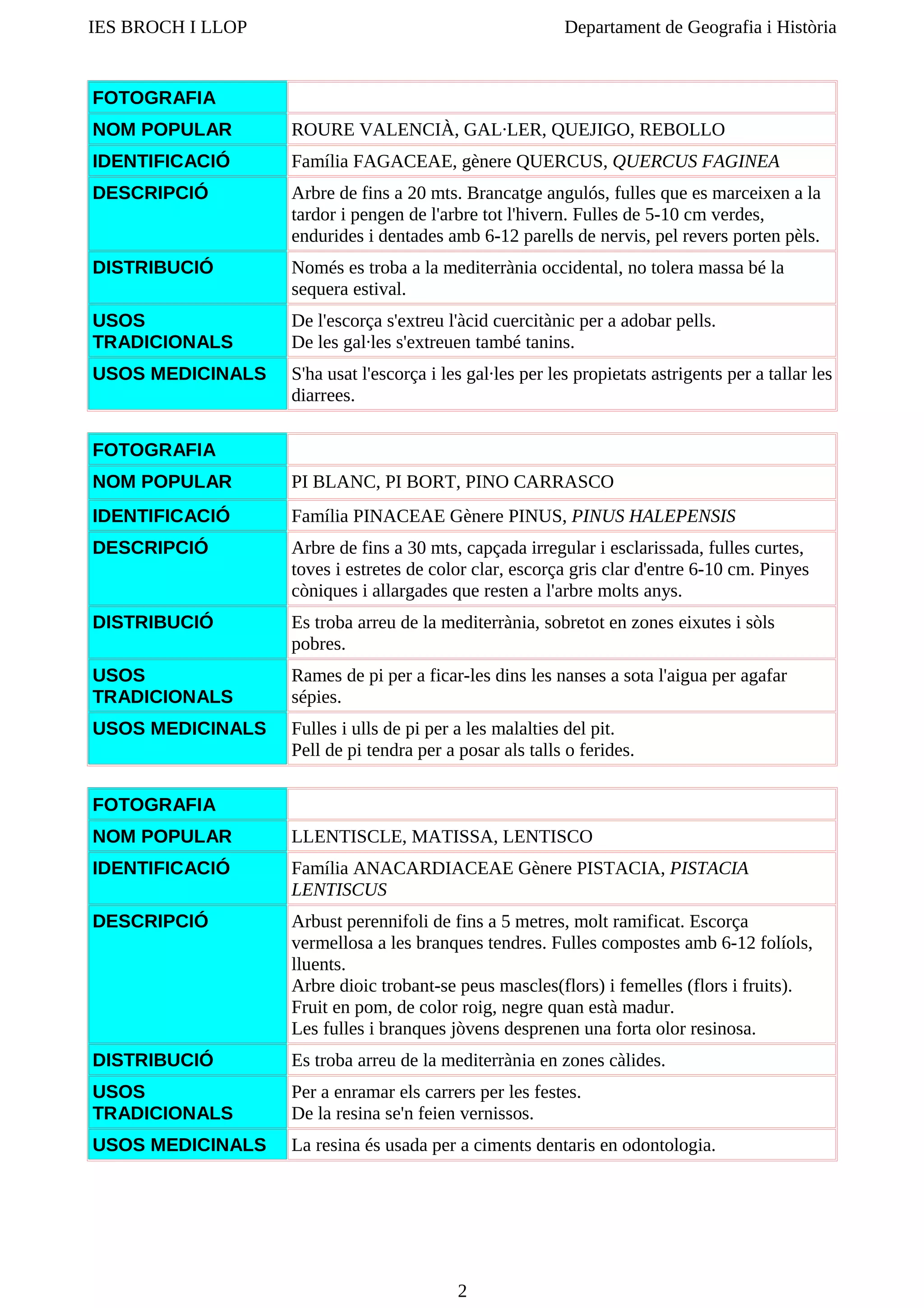 Fitxa vegetacio | PDF