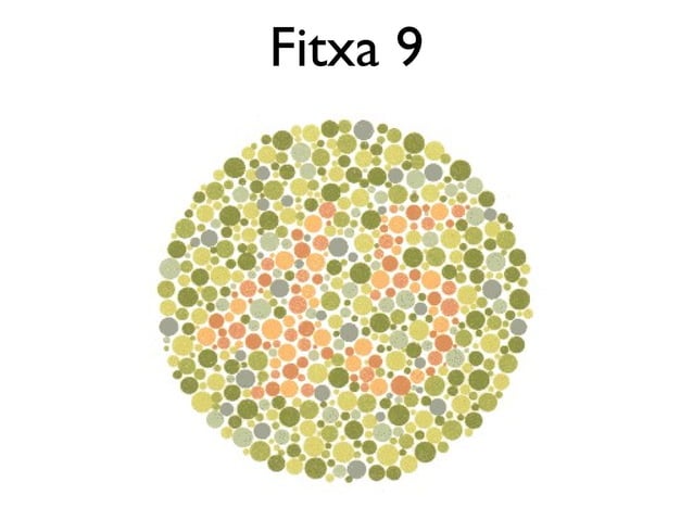 Test de daltonisme: Fitxes ishihara | PPT