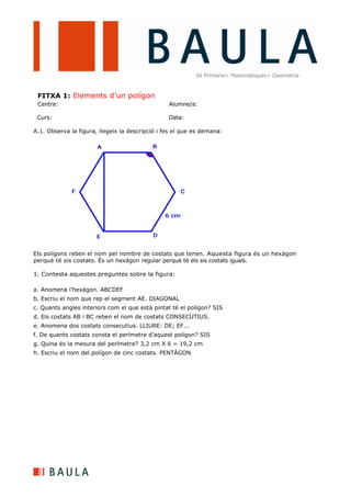 Fitxes mat 5e_geom_sol | PDF