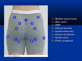 Fiu thoracic and lumbar spine clinical evaluation | PPT