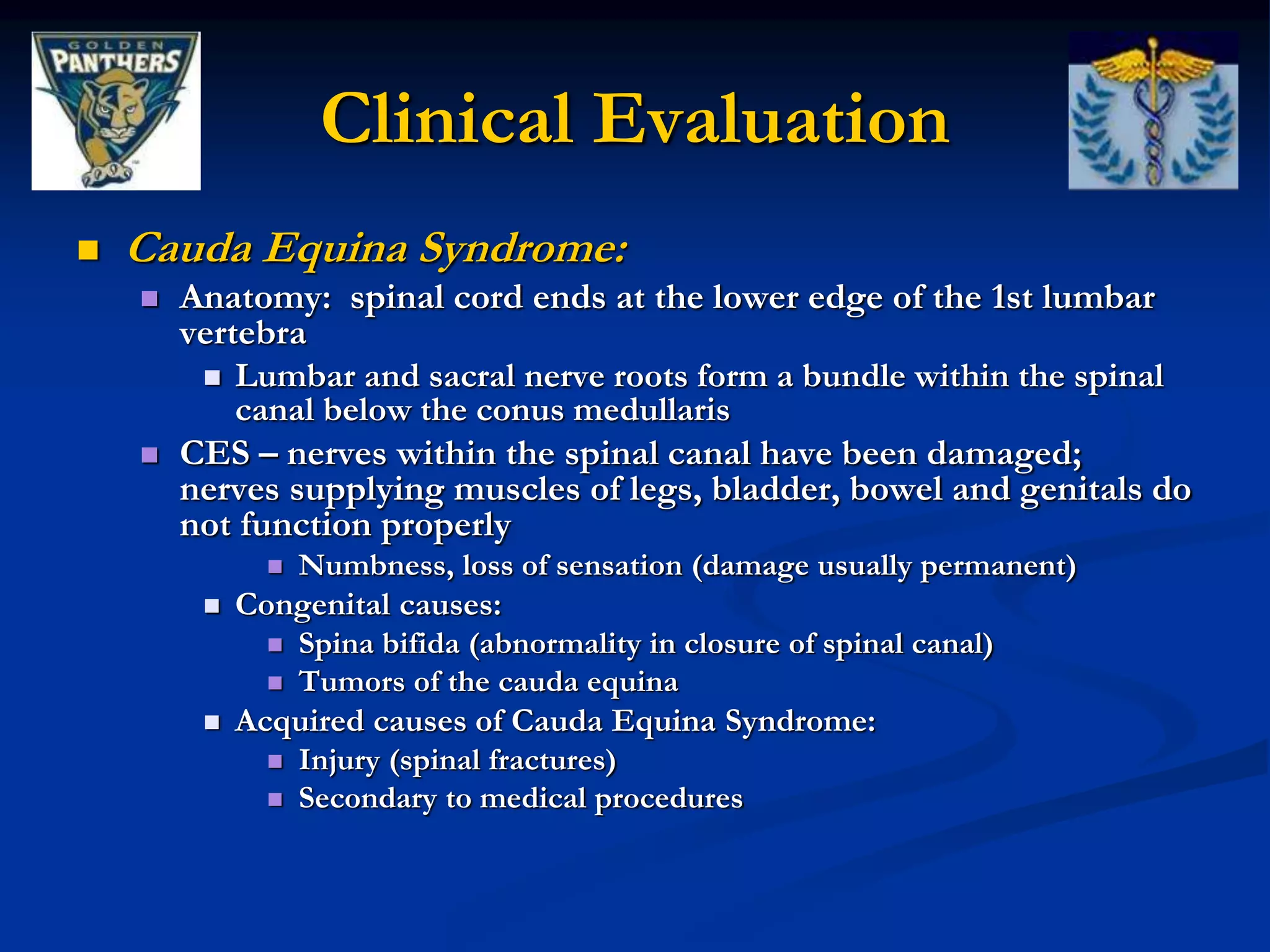 _FIU - Thoracic and Lumbar Spine Special Tests and Pathologies (1 ...