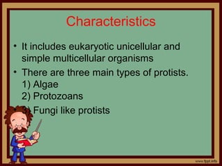 Five kingdom Classification | PPT